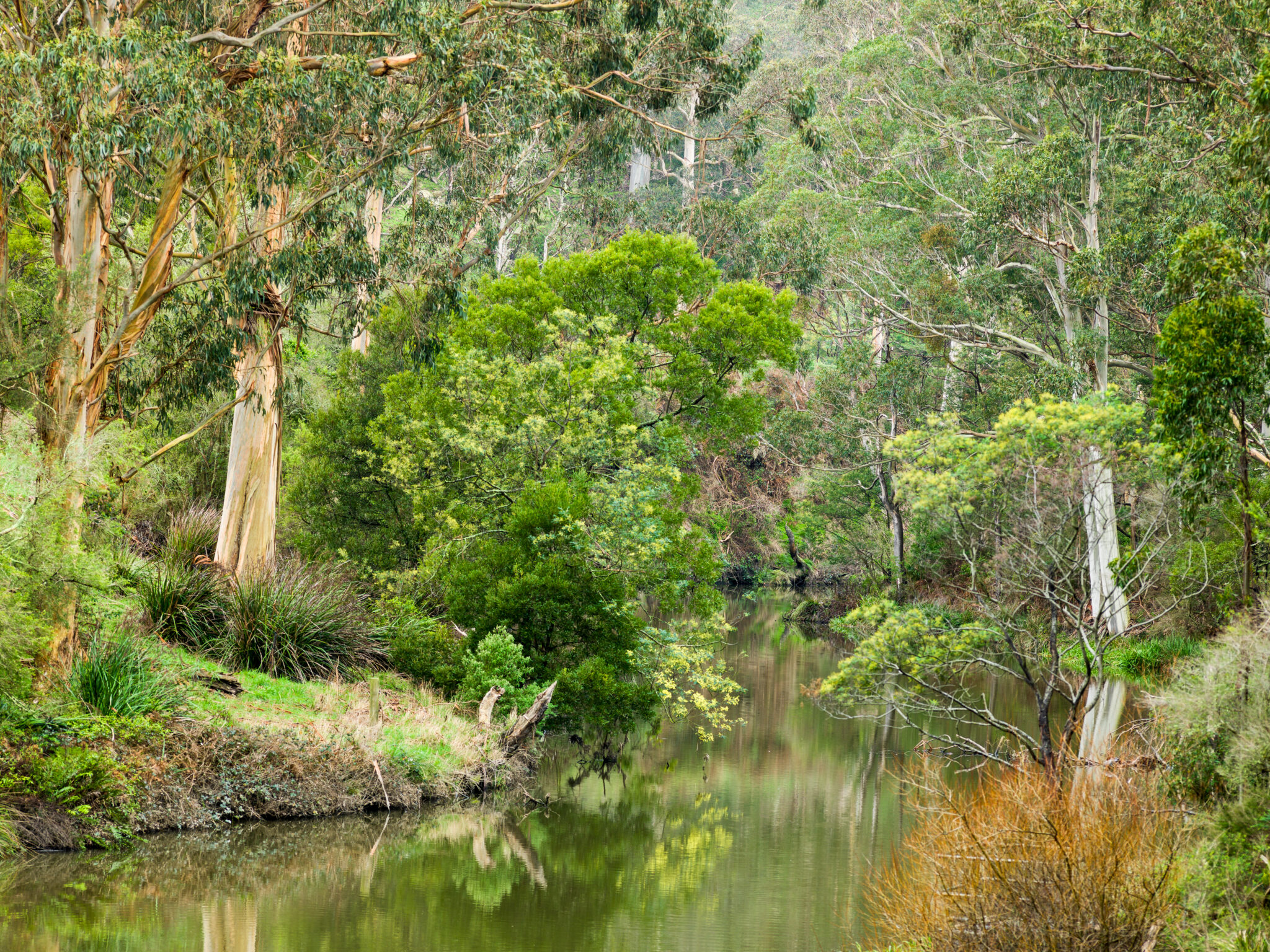 WGCMA | Corner Inlet and Agnes River