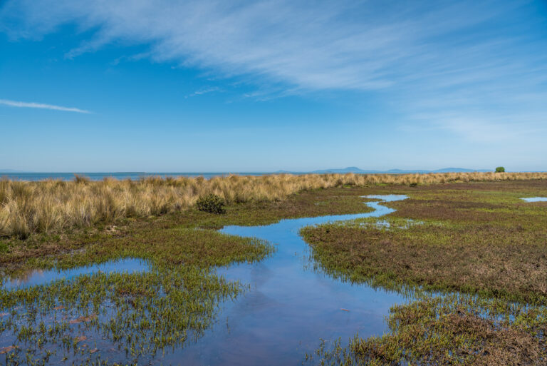 WGCMA | Corner Inlet Connections