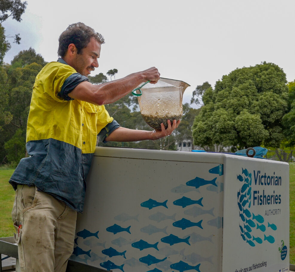 WGCMA | Boost for native Bass