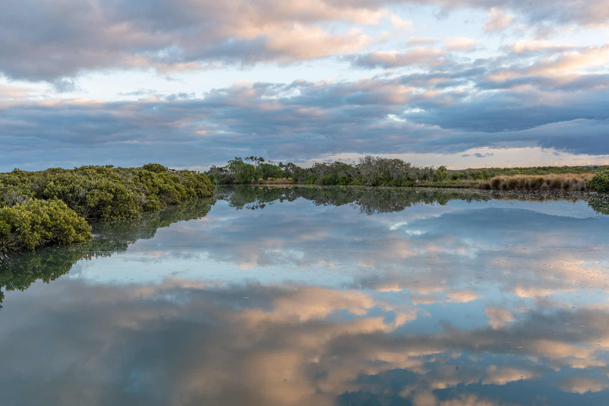 WGCMA | Celebrating Agnes River through short films