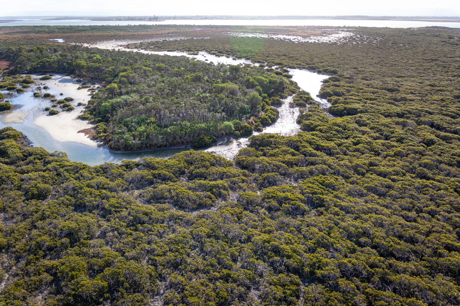 WGCMA | Celebrating Corner Inlet on World Wetlands Day
