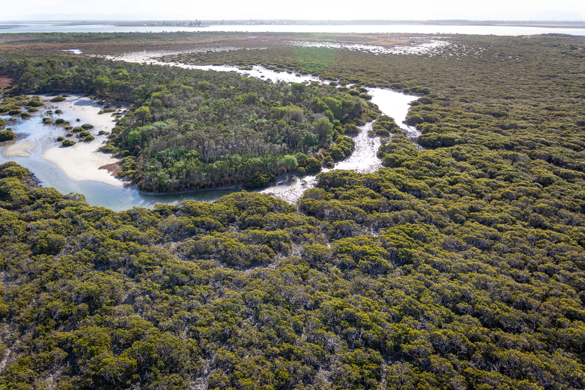 WGCMA | Celebrating Corner Inlet on World Wetlands Day