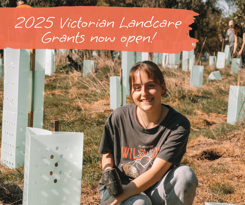 WGCMA | 2025 Victorian Landcare Grants open